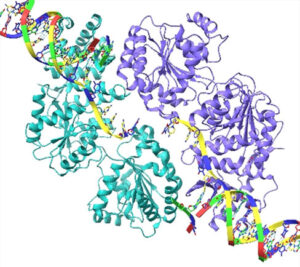 Home - Ractigen Therapeutics