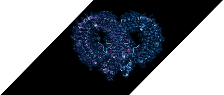 Pipeline - Ractigen Therapeutics