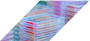 About Us - Ractigen Therapeutics